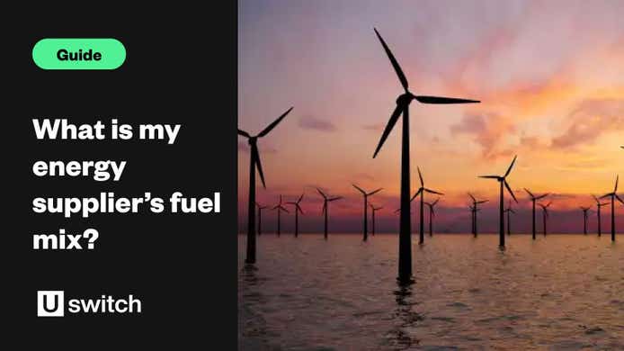 Ecotricity Tariffs, Prices and Reviews - Uswitch